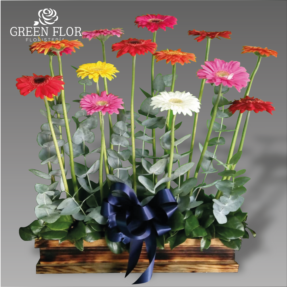 GFF Diseños Florales